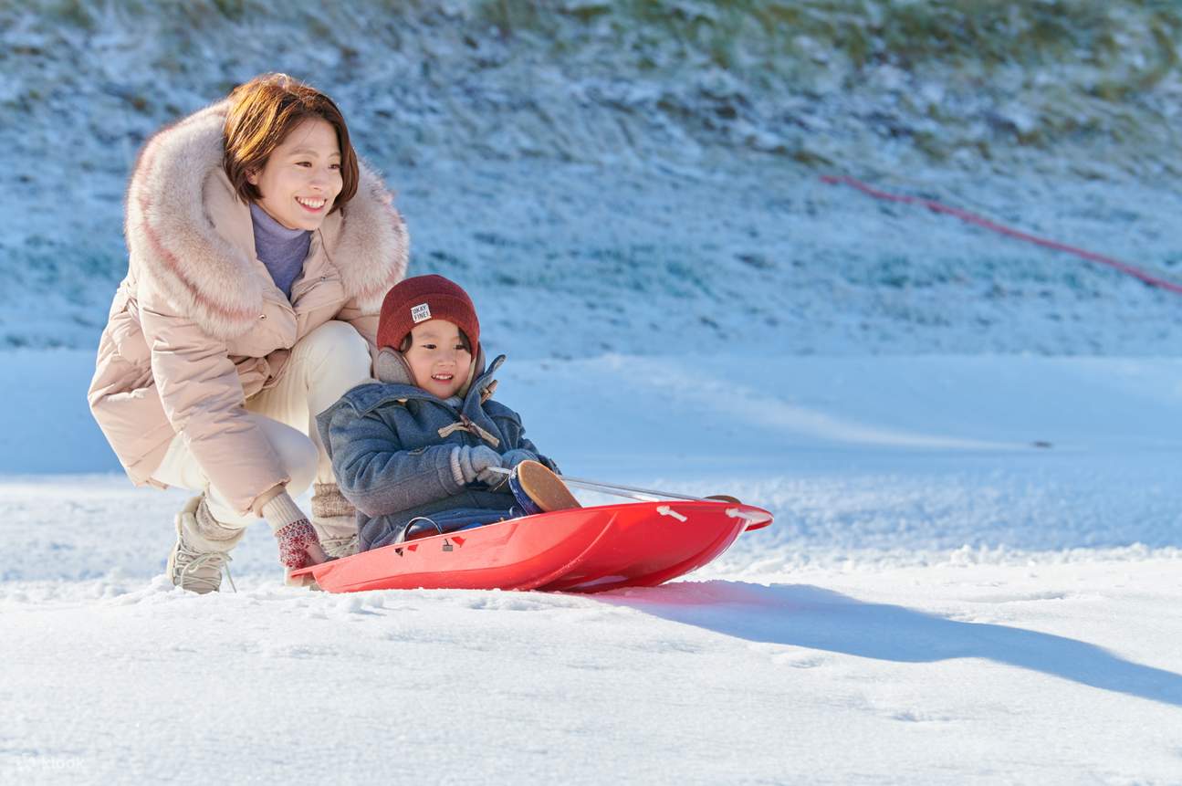PyeongChang Olympic Venue: Phoenix Snow Park One-Day Tour - Klook ...